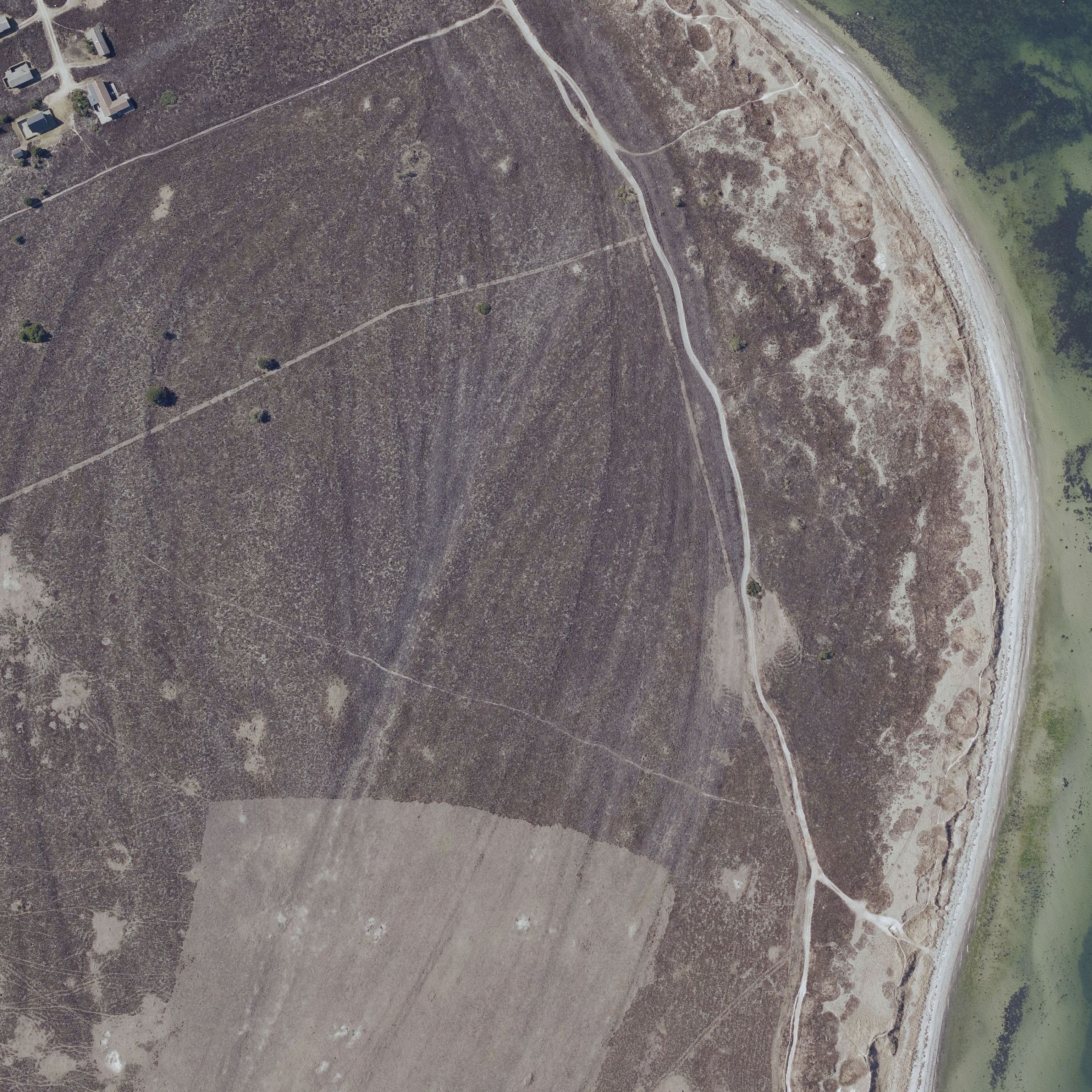 Jegens Odde | Nordjylland, Læsø