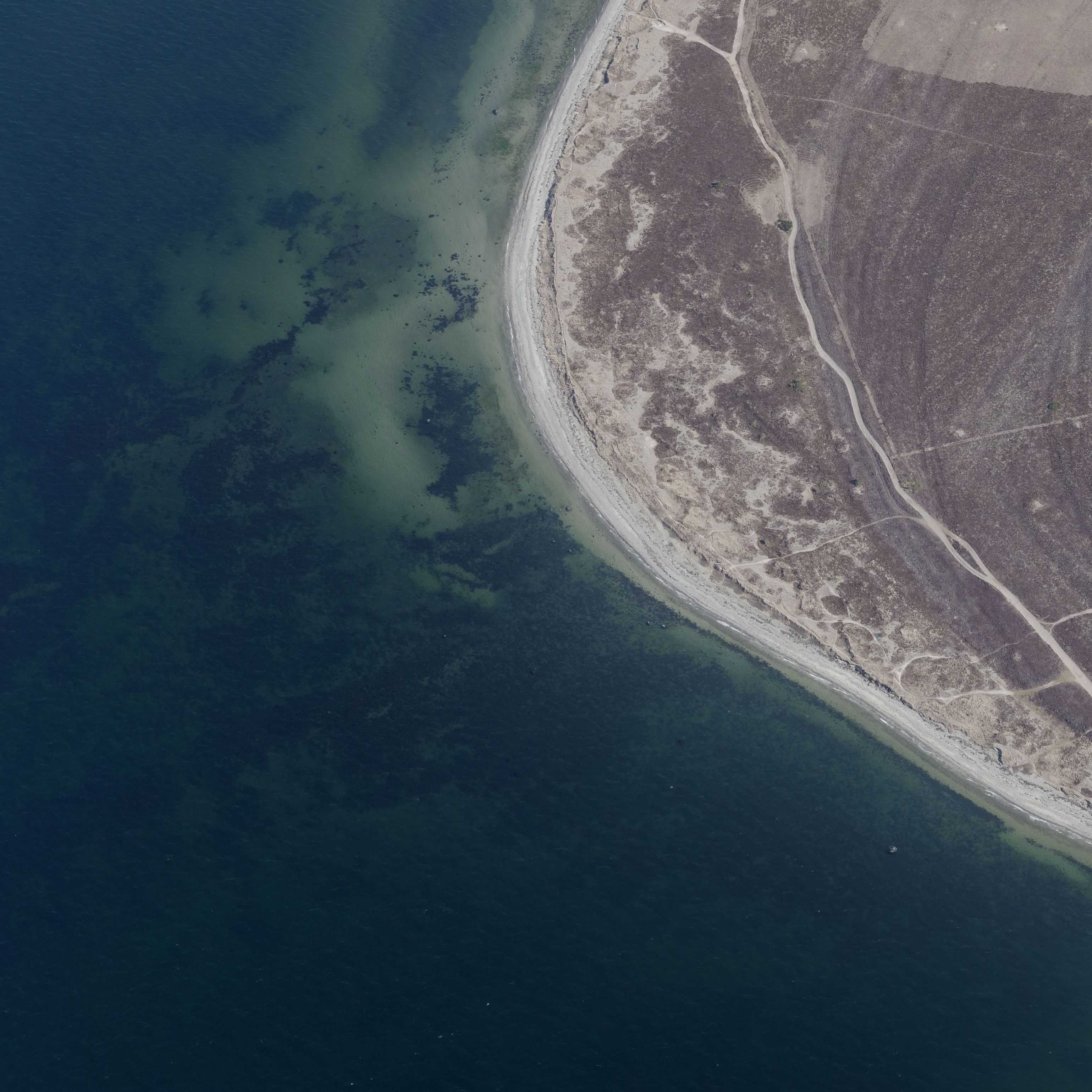 Jegens Odde | Nordjylland, Læsø