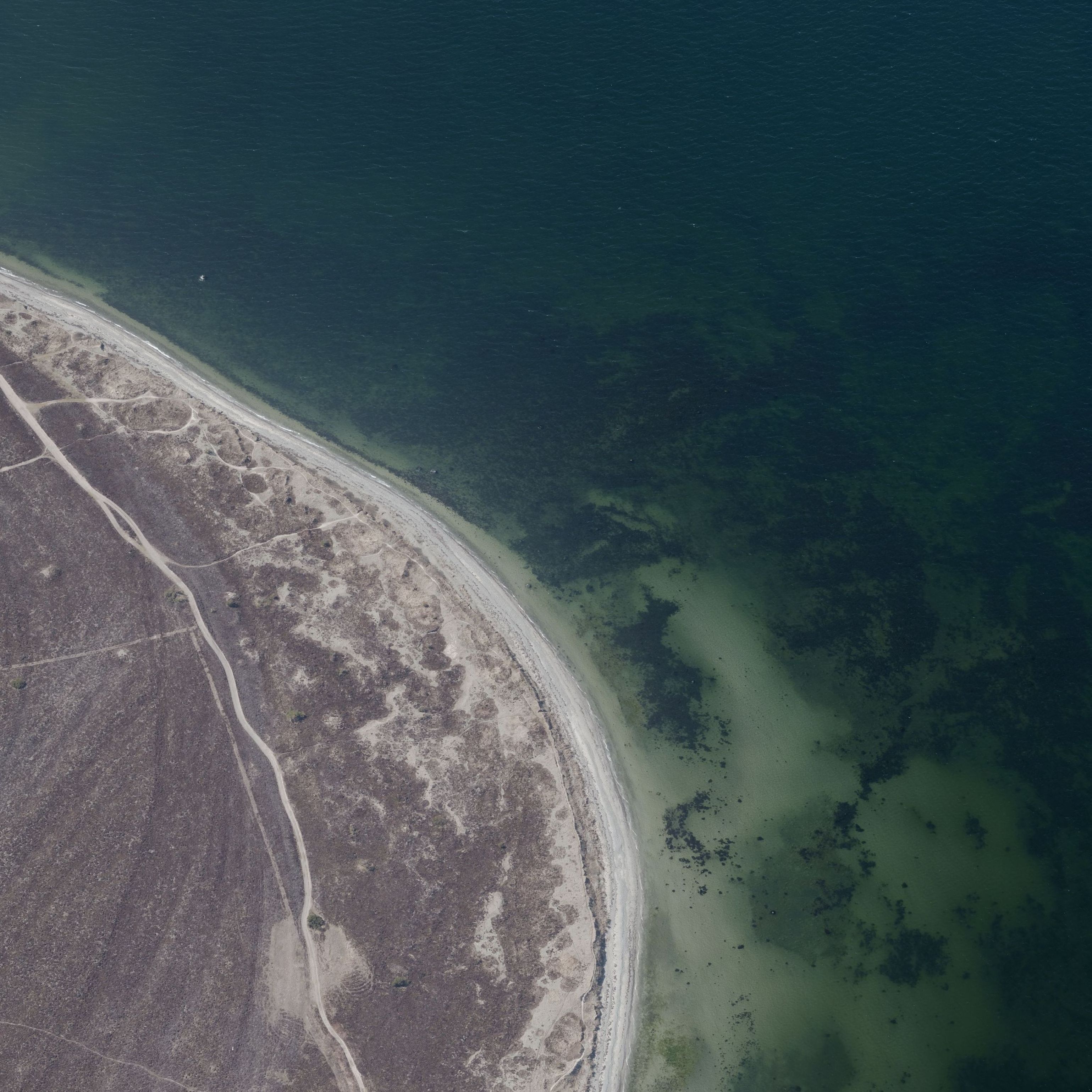 Jegens Odde | Nordjylland, Læsø