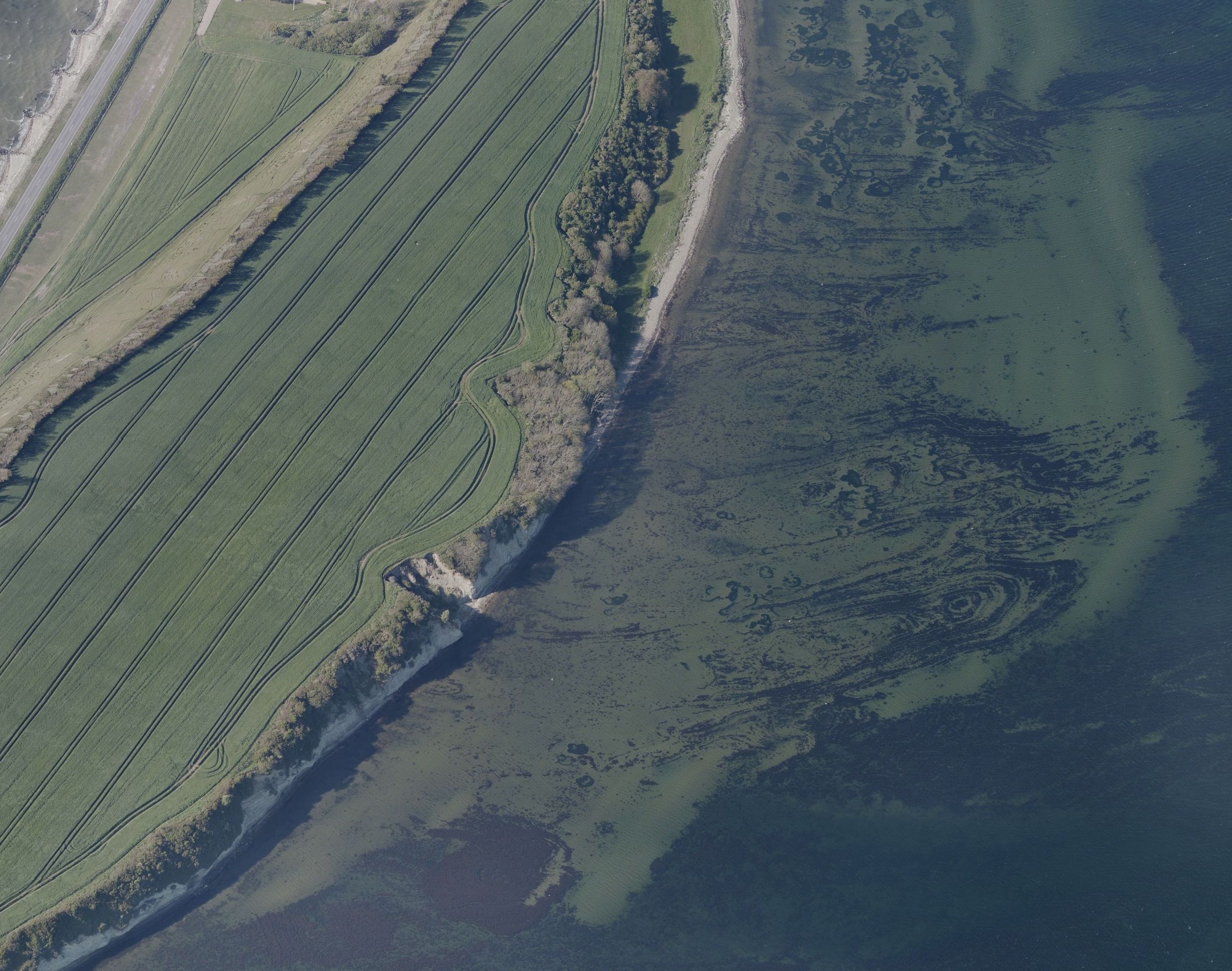 Fishing in Denmark - Denmark's national fishing guide