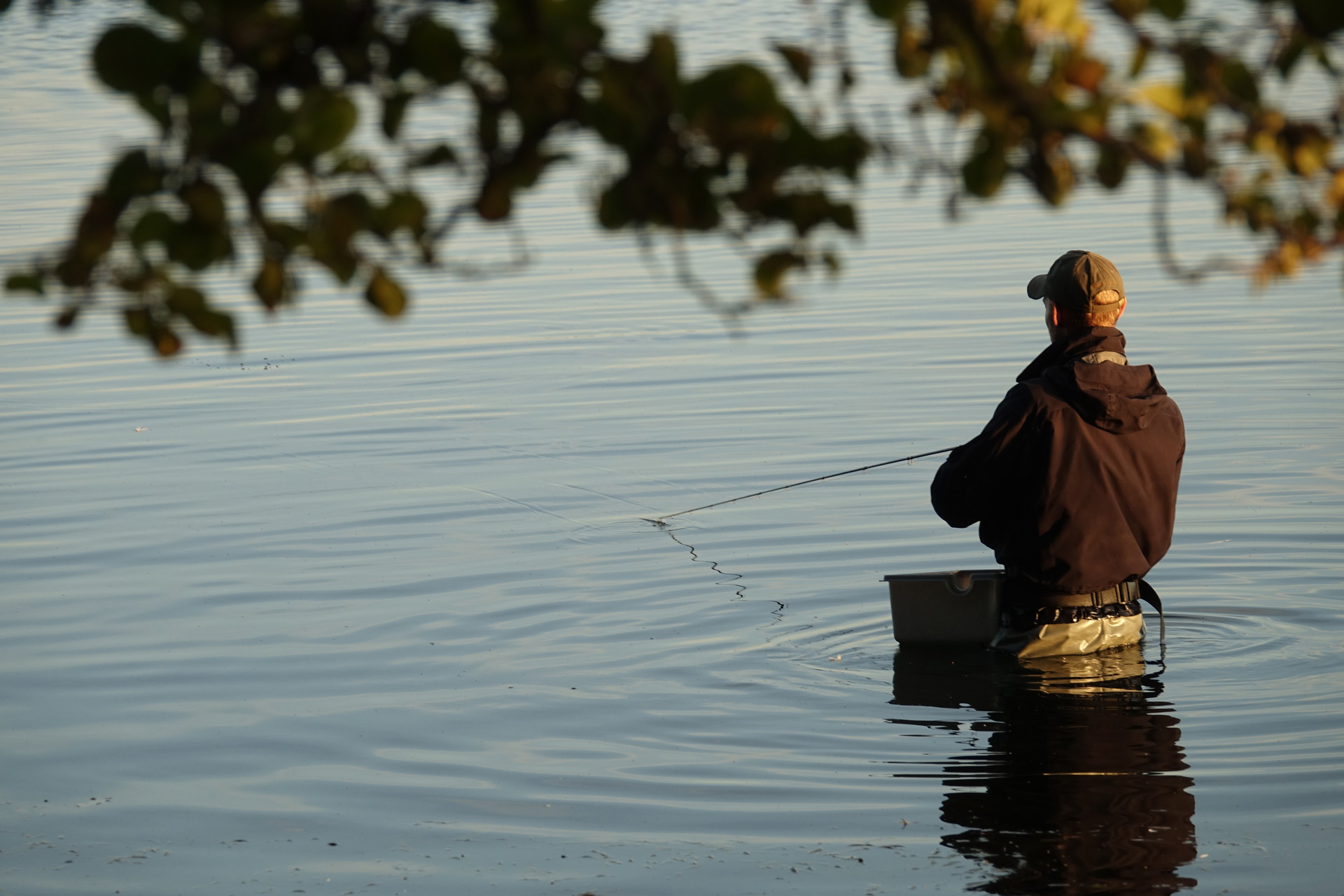 Information and rules when fishing in denmark