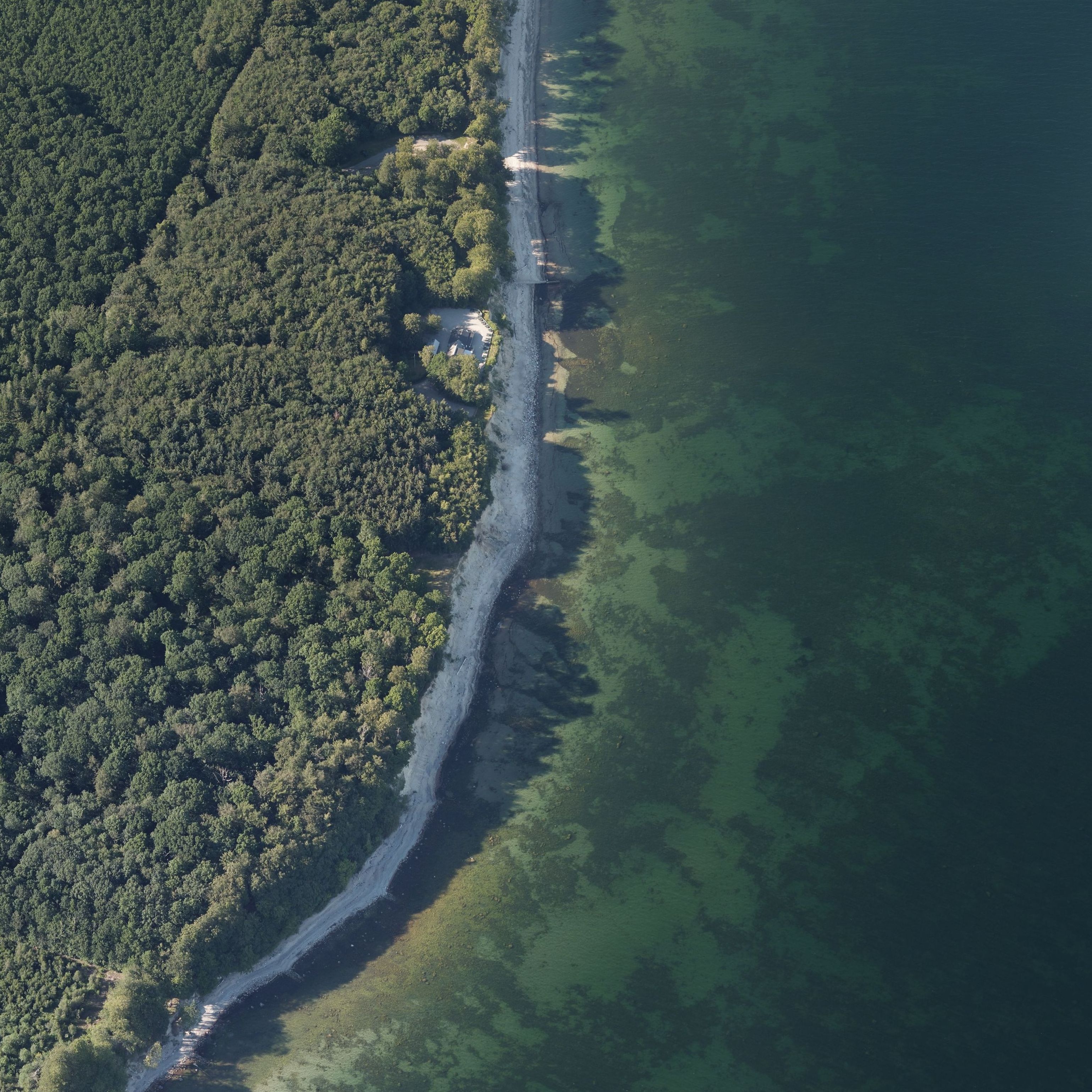 Fishing in Denmark - Dänemarks nationaler Angelführer
