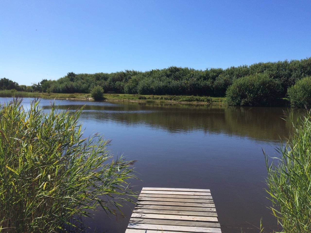 Bork Havn Put & Take