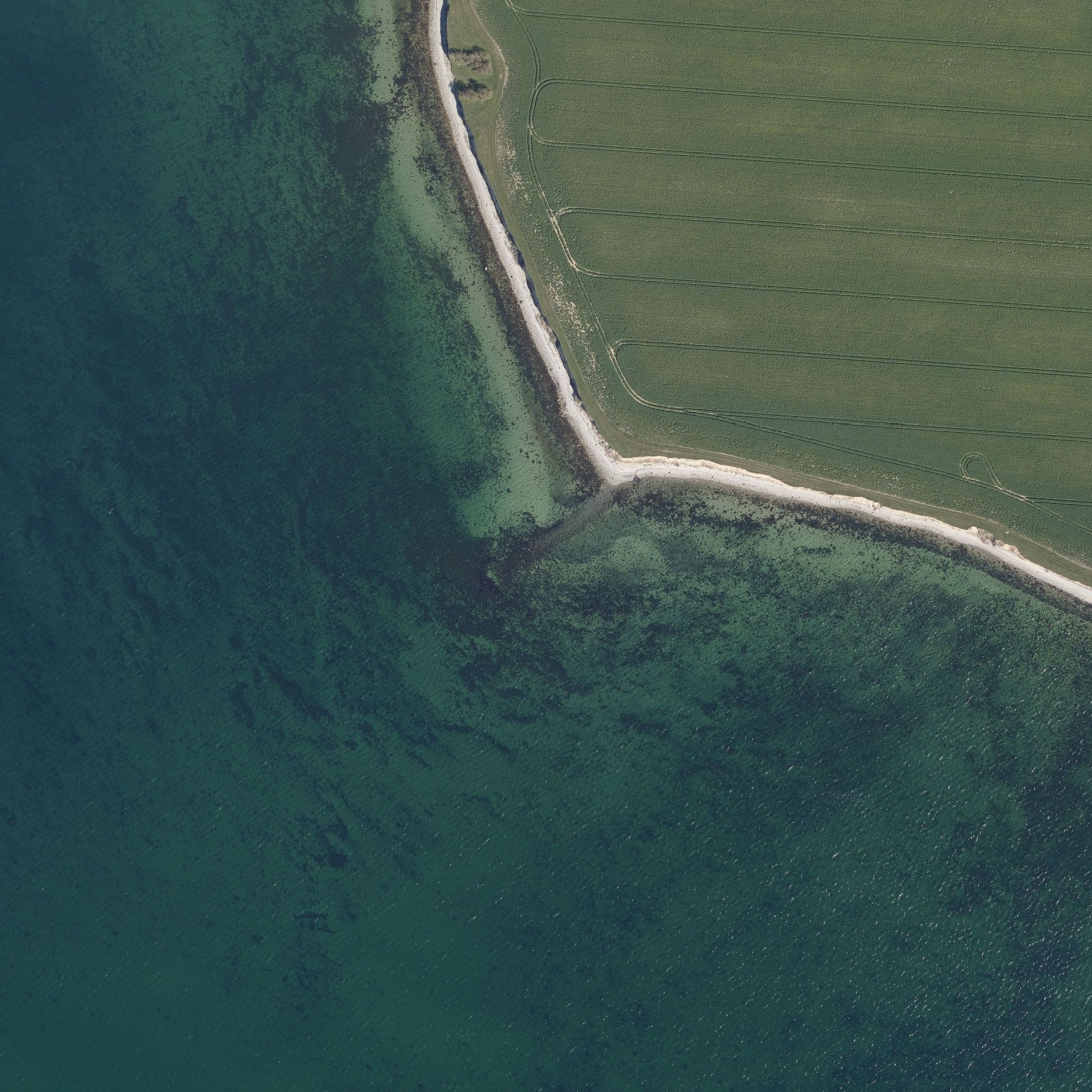 Wedellsborg Hoved | Fyn, Lillebælt