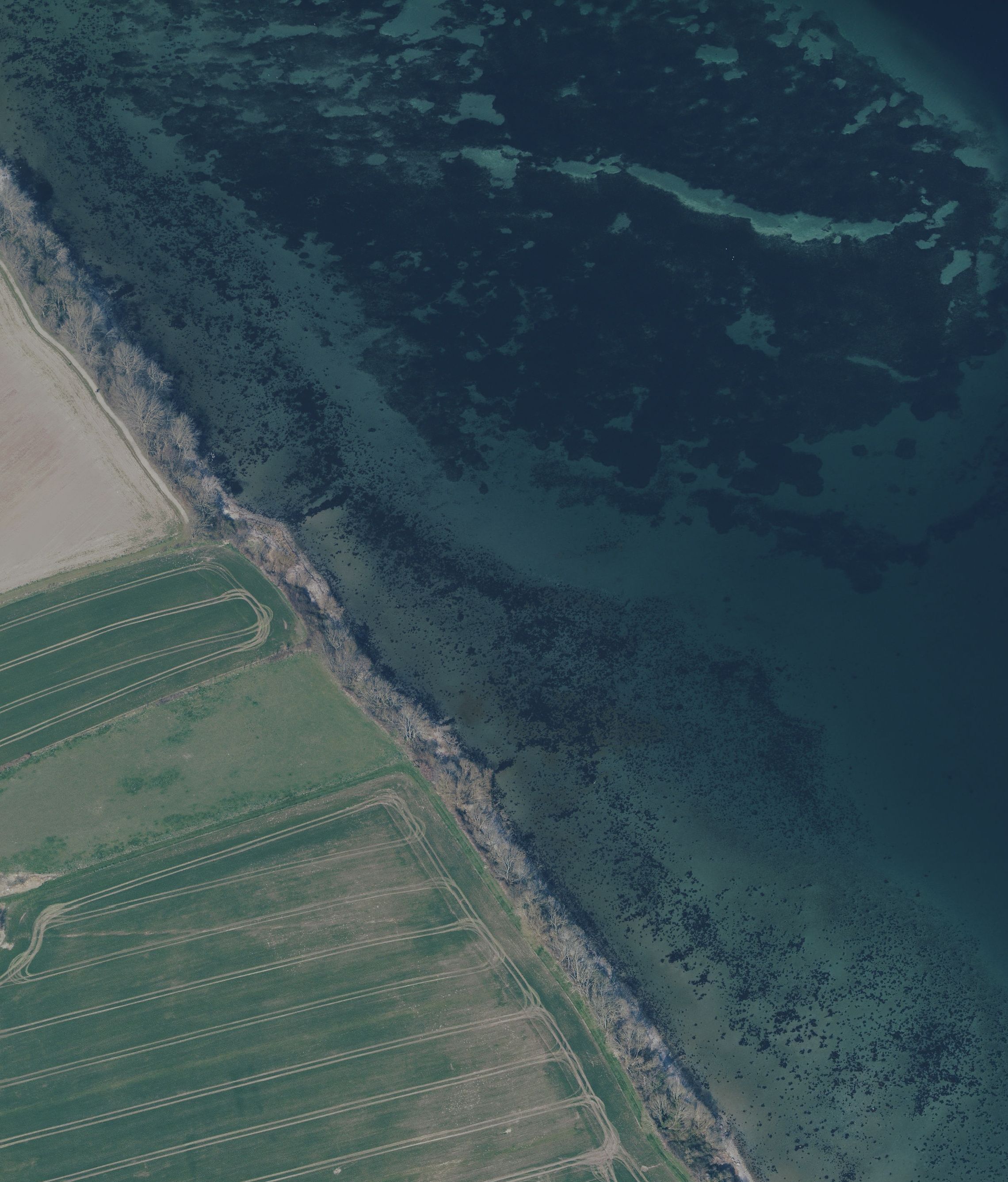 Fishing in Denmark - Denmark's national fishing guide