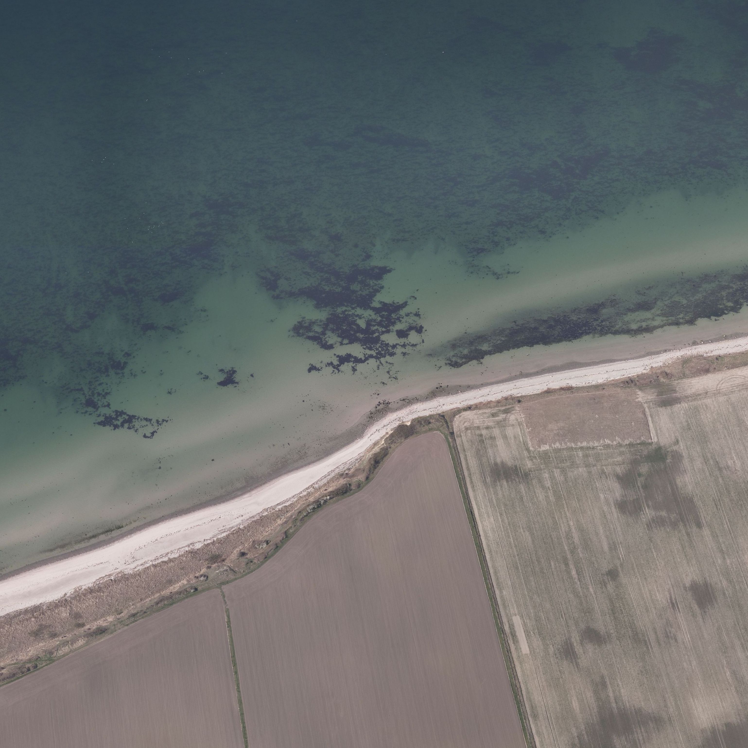 Bjerge Strand | Vestsjælland, Storebælt