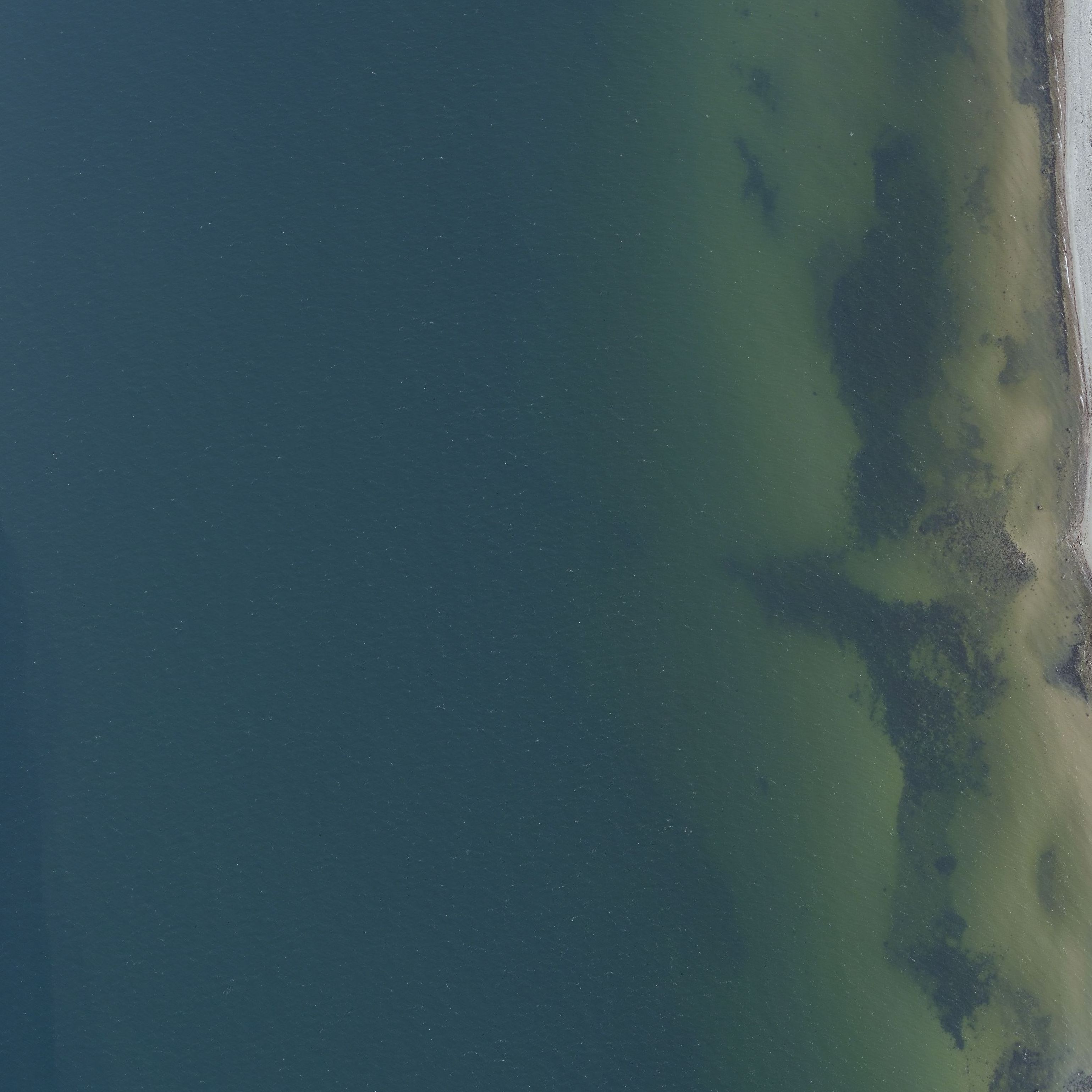 Jegens Bugt | Nordjylland, Læsø