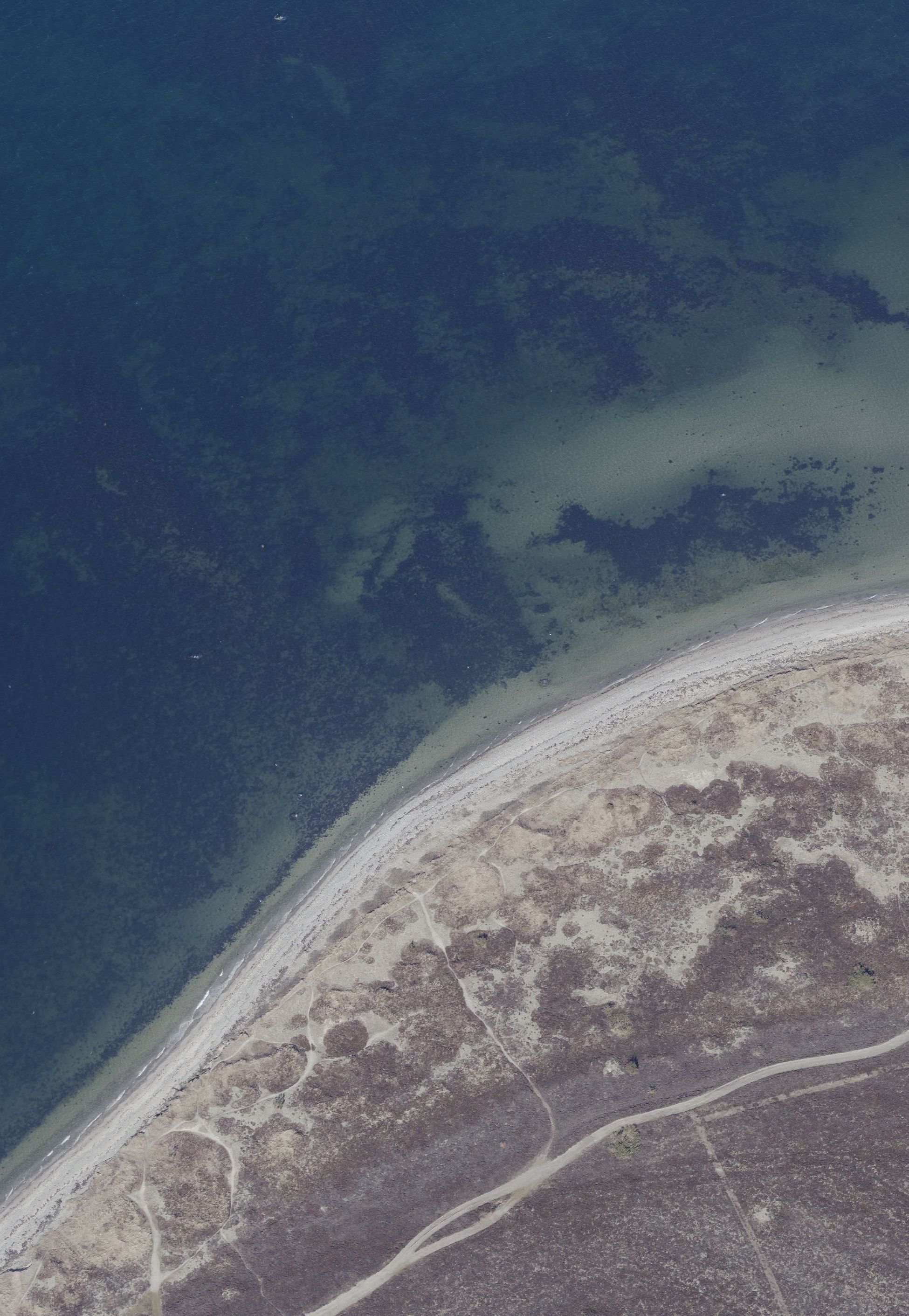 Jegens Odde | Nordjylland, Læsø