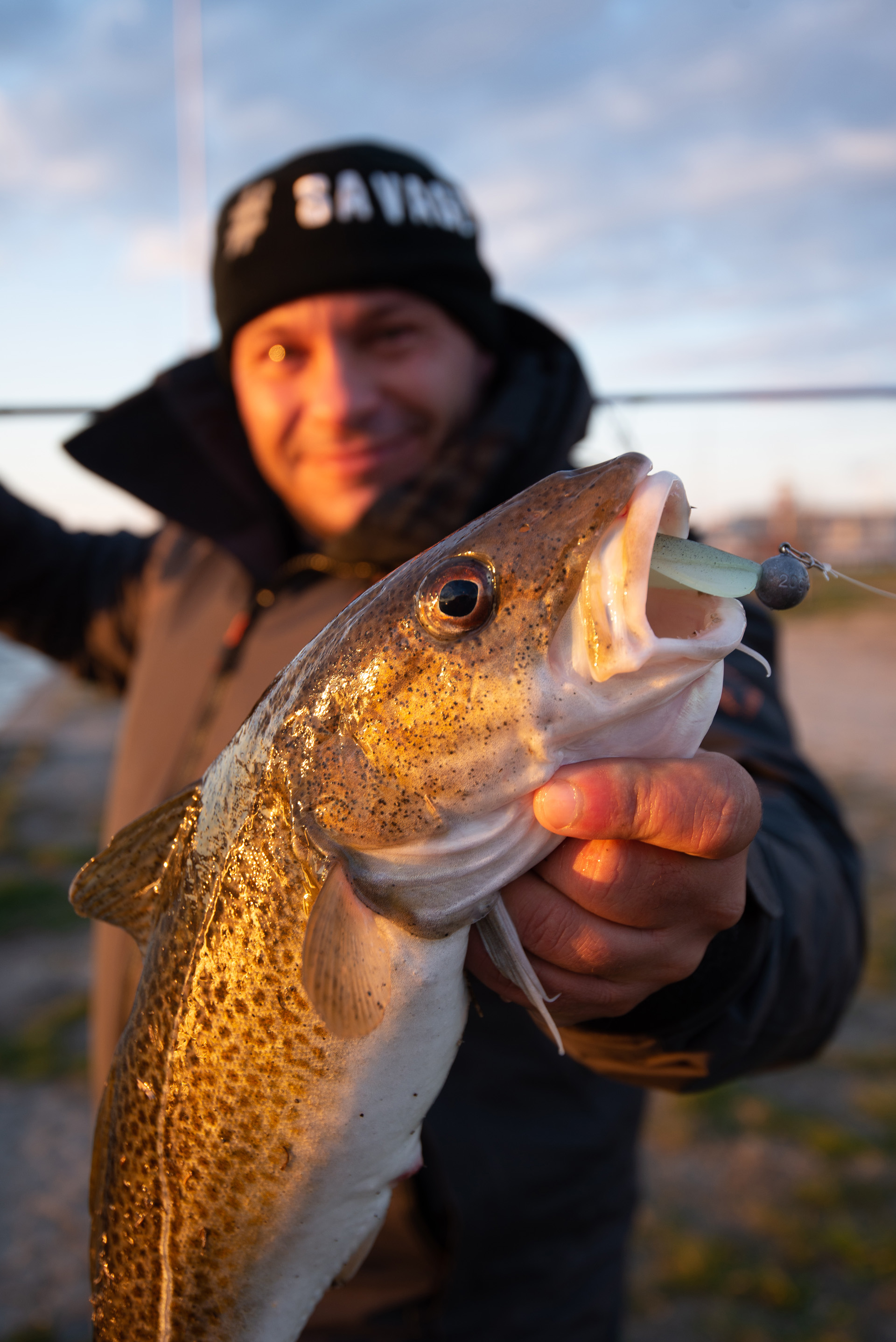 Dorsche von der Küste, einer Mole oder einem Boot aus